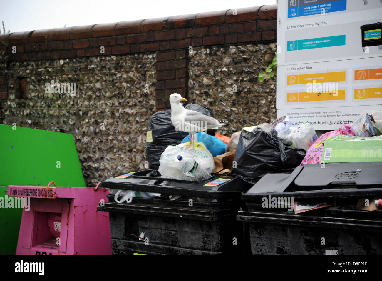 Brighton Sussex UK 28 May 2013 - Overflowing rubbish from unemptied ...