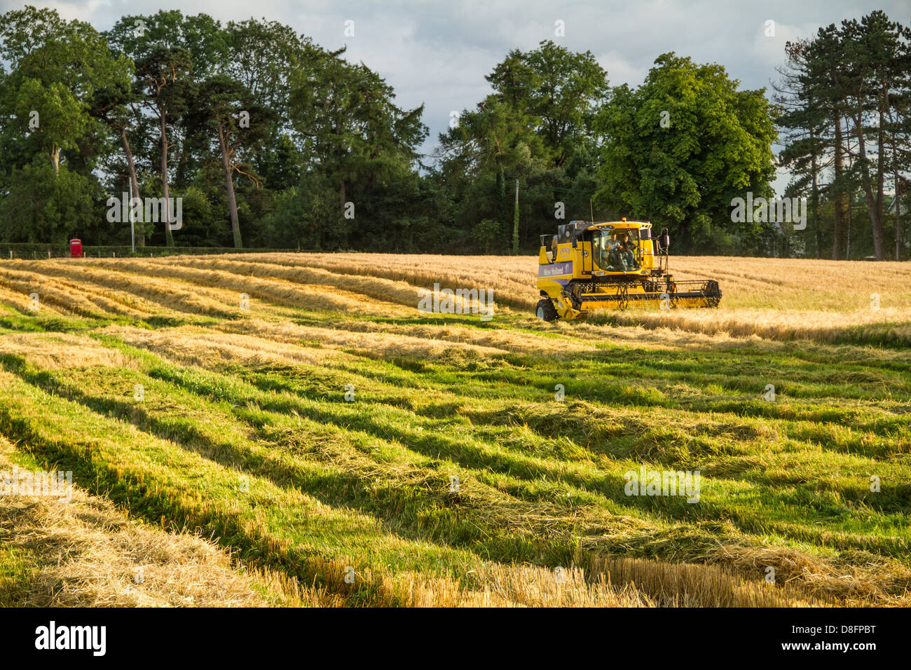 Farming, combine harvester Stock Photo - Alamy