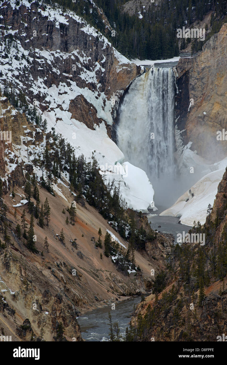 Lower Falls, Yellowstone National Park, Grand Canyon of the Yellowstone, Yellowstone Stock Photo ...