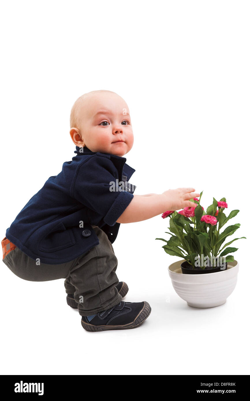 boy with house plant Stock Photo - Alamy