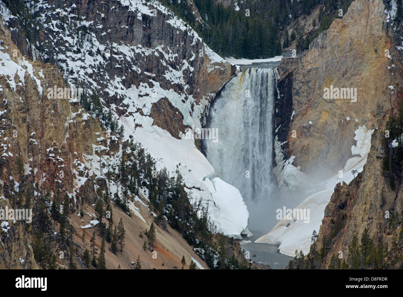 Lower Falls, Yellowstone National Park, Grand Canyon of the Yellowstone, Yellowstone Stock Photo ...