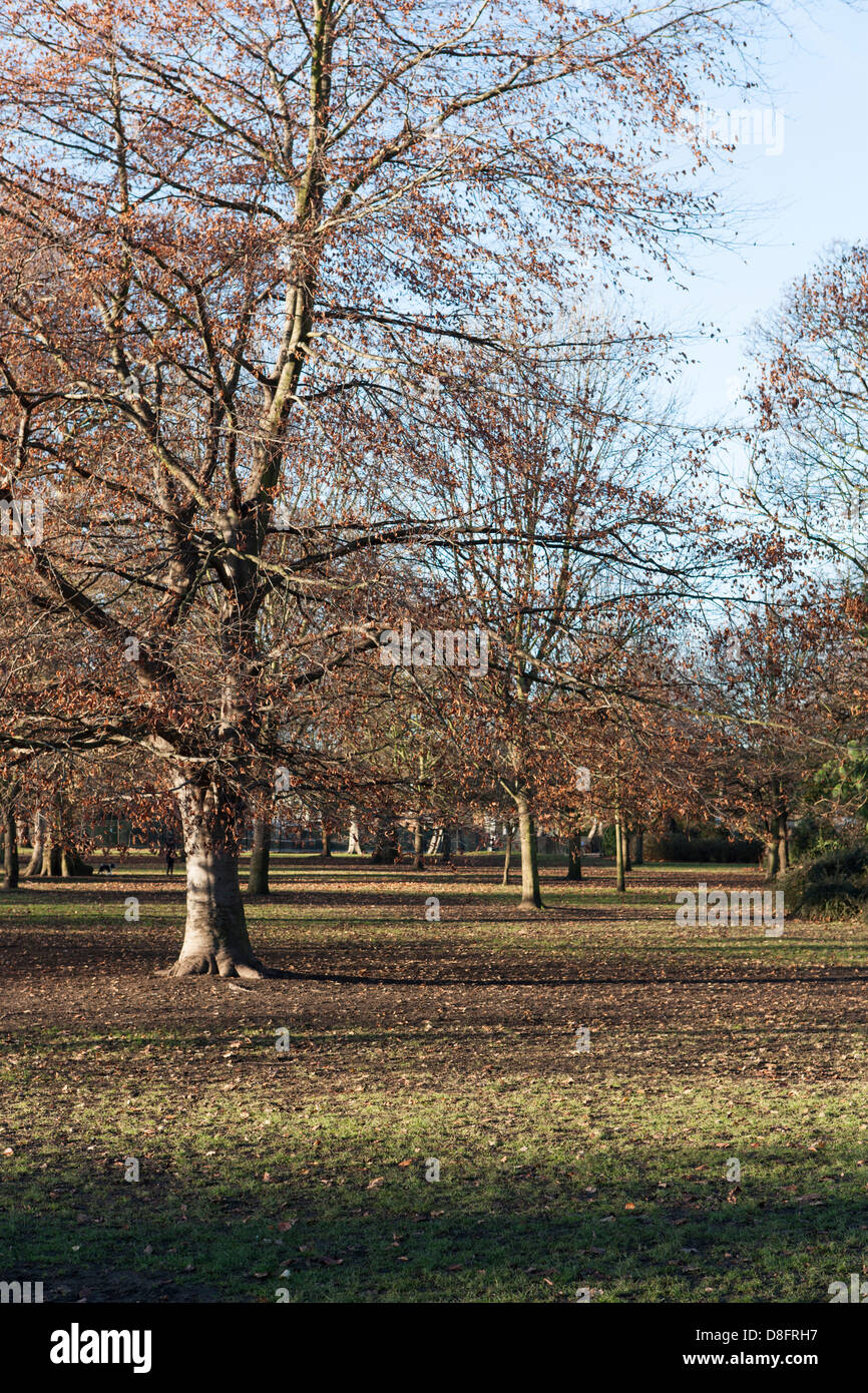 Ravenscourt Park Hammersmith London Stock Photo - Alamy