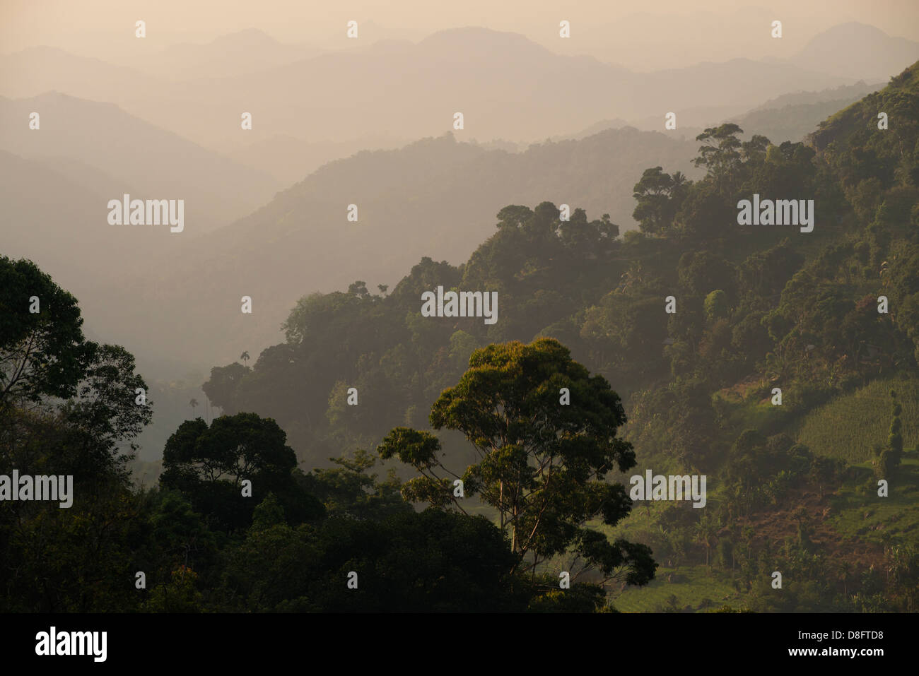 View of Ella Gap, Sri Lanka Stock Photo - Alamy