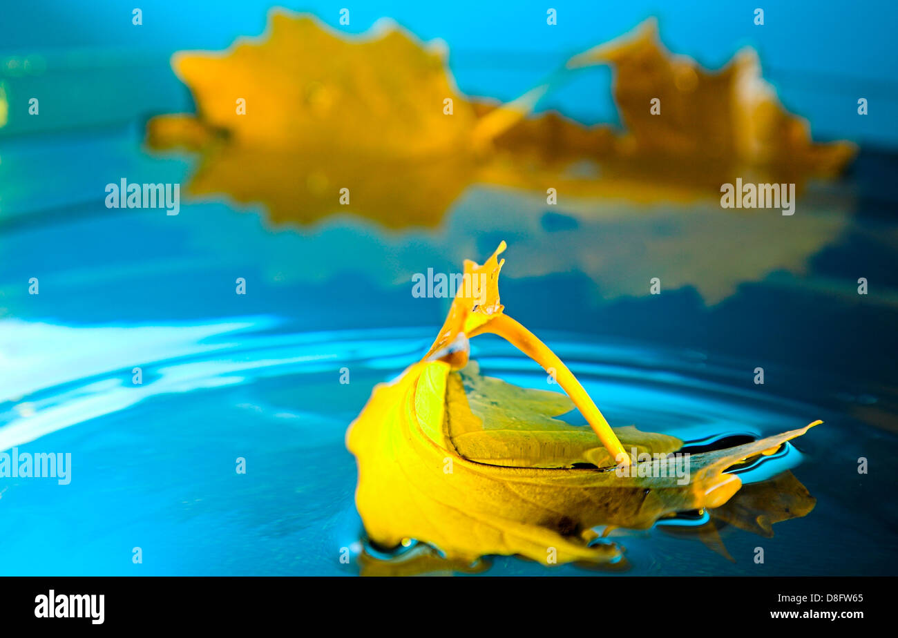 Wave on leaf hi-res stock photography and images - Alamy