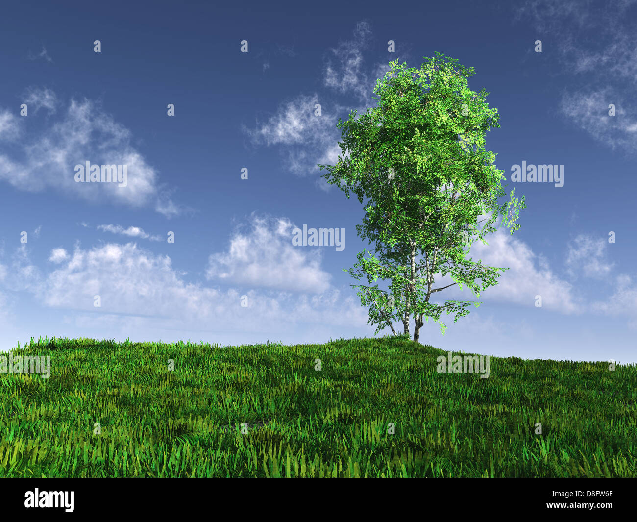 3d rendering birch tree hi-res stock photography and images - Alamy