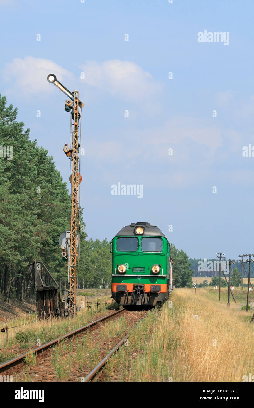 Passenger train passing through the forest Stock Photo - Alamy