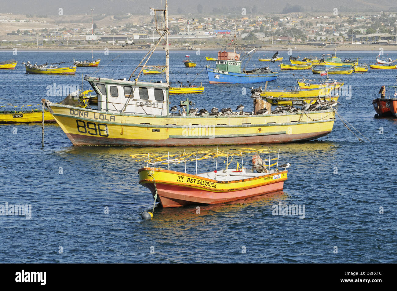 Colourful fishing boats Stock Photo - Alamy