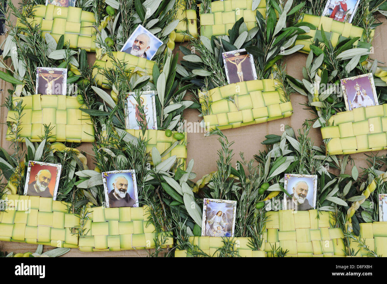Chico palm hi-res stock photography and images - Alamy