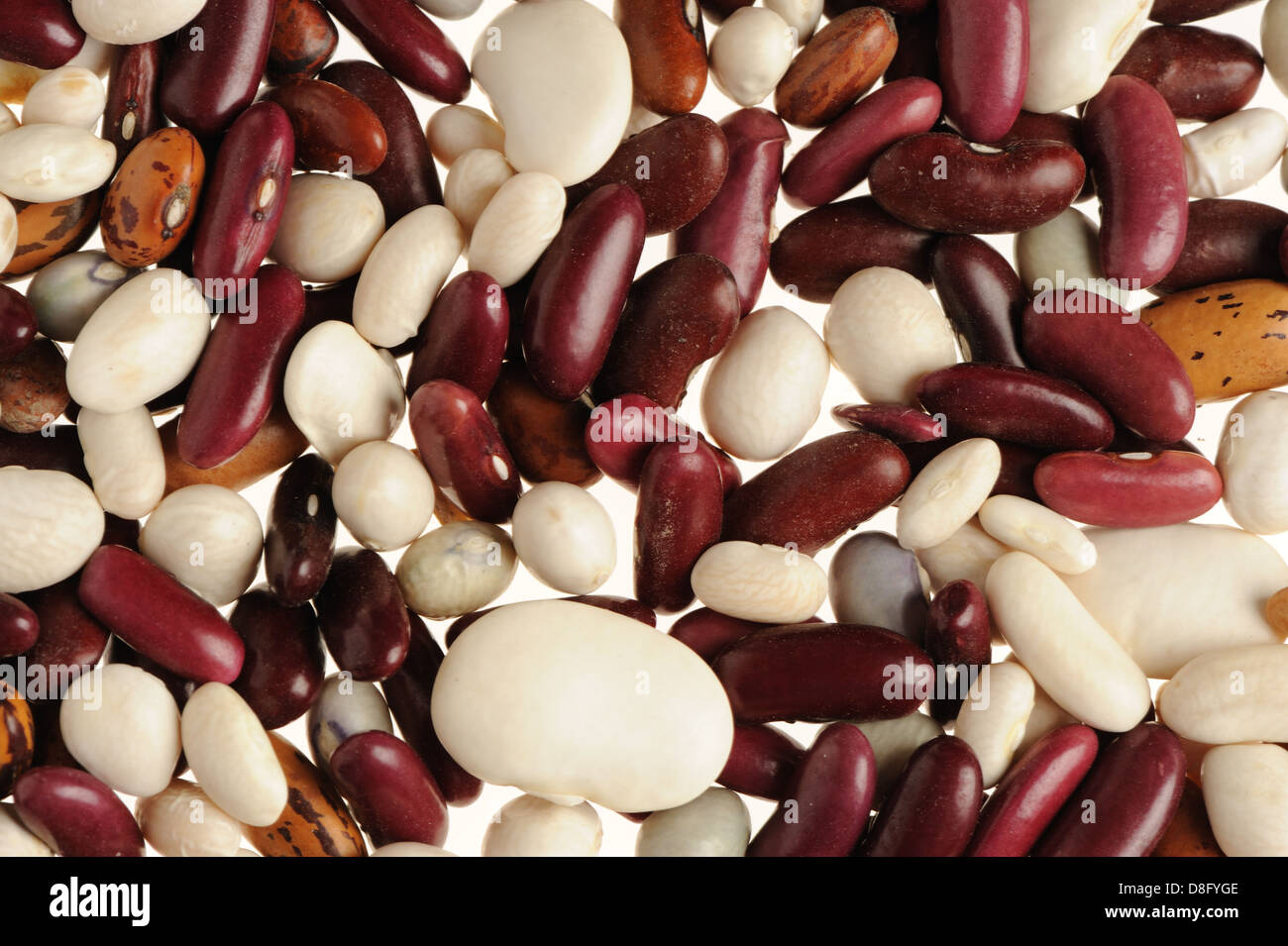 String bean seed hi-res stock photography and images - Alamy