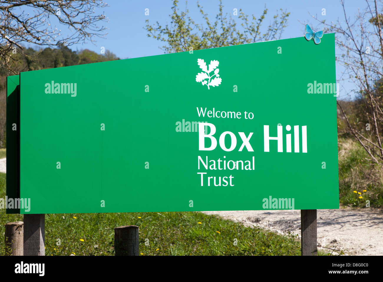 Box Hill Surrey UK Stock Photo - Alamy