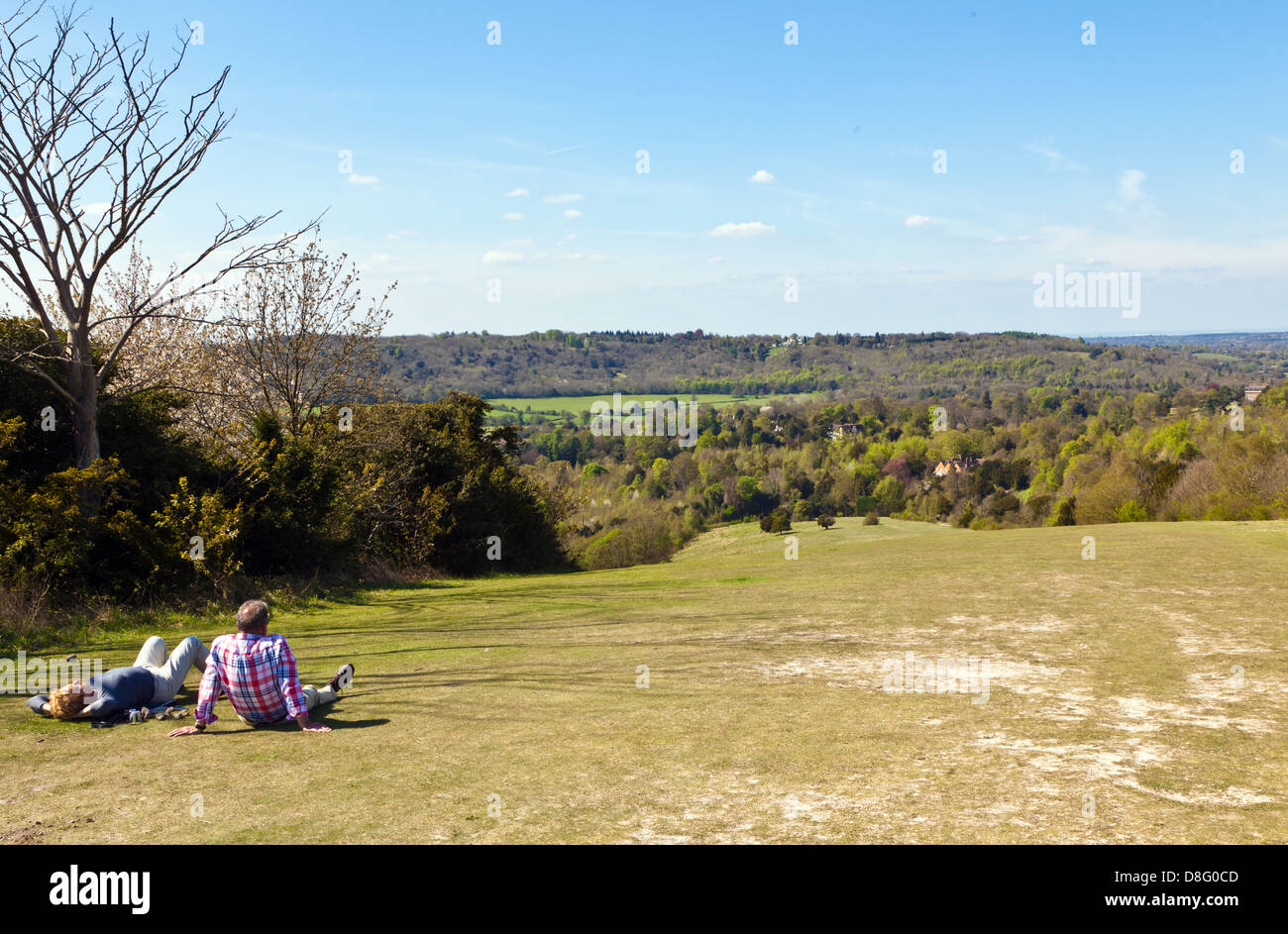 Box Hill Surrey UK Stock Photo - Alamy