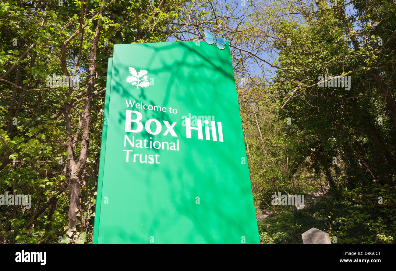 Box Hill Surrey UK Stock Photo - Alamy