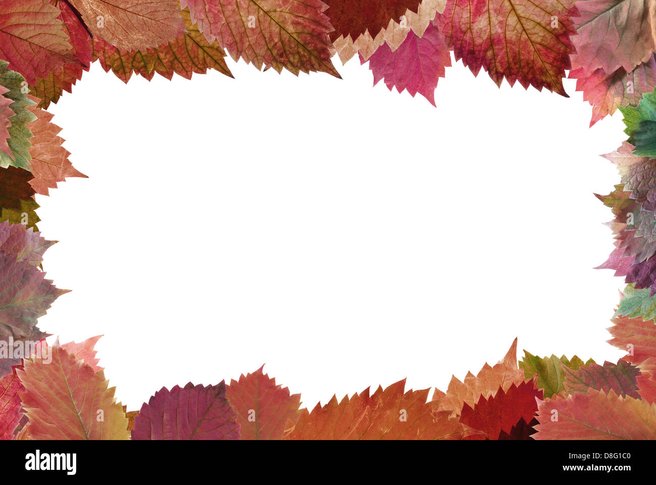 Frame from autumn leaves Stock Photo - Alamy