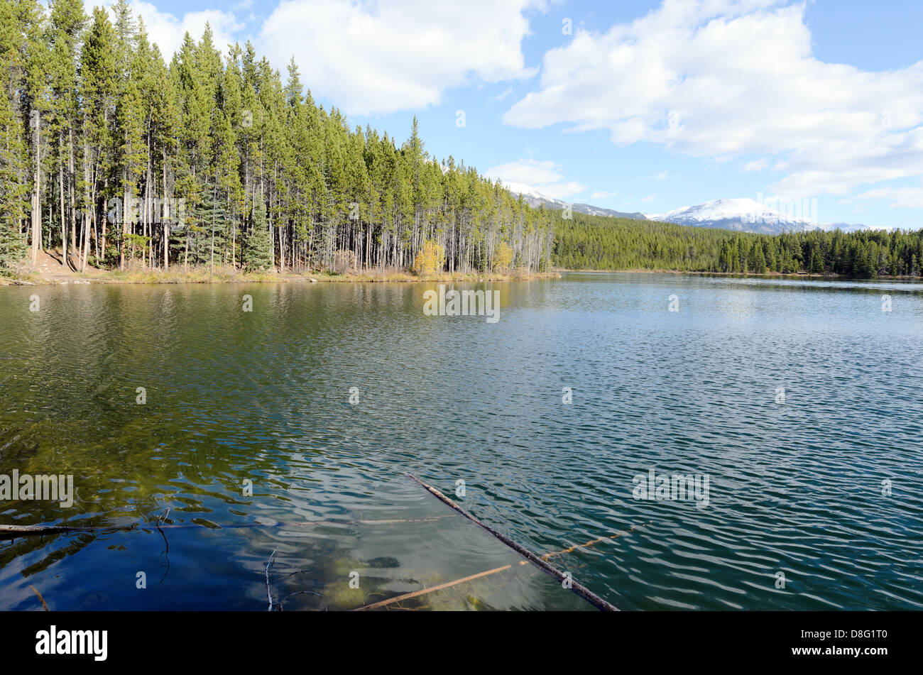 Herbert Lake and Whitehorn Mountain Banff National Park Alberta Canada ...