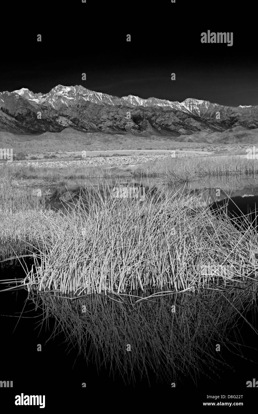 California sierra nevada owens Black and White Stock Photos & Images ...
