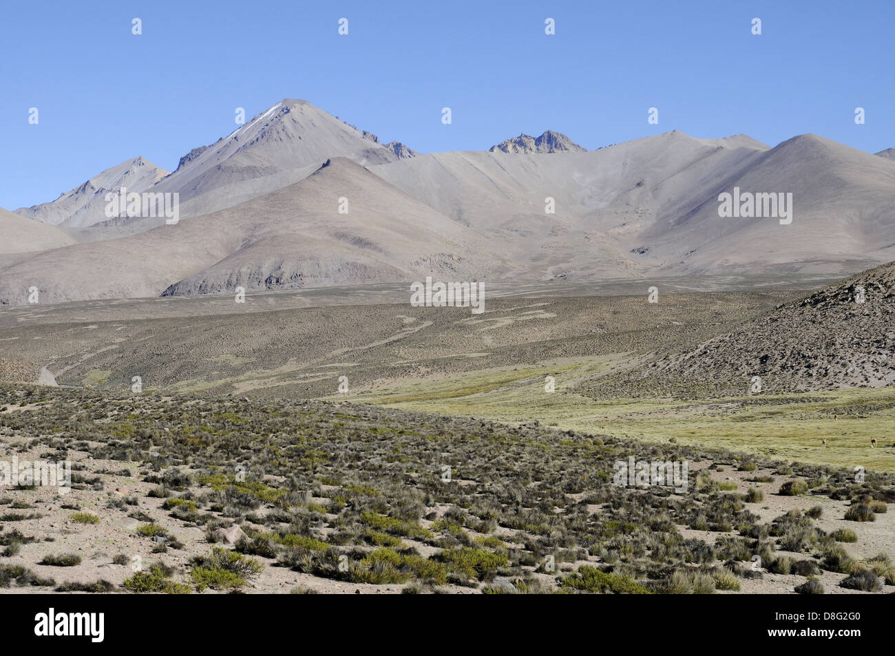 Nationalpark Lauca High Resolution Stock Photography and Images - Alamy