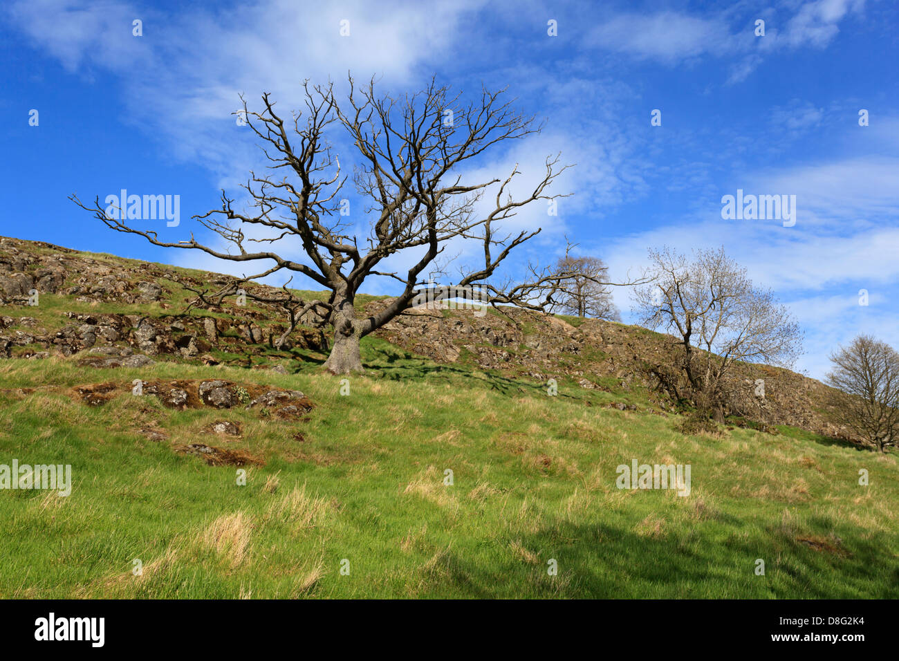 Breidden hi-res stock photography and images - Alamy