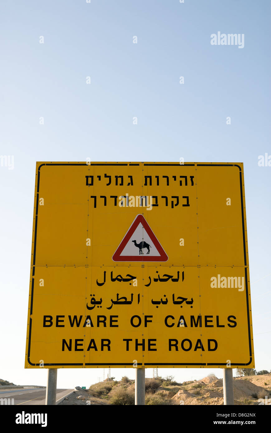 Beware of camels sign hi-res stock photography and images - Alamy