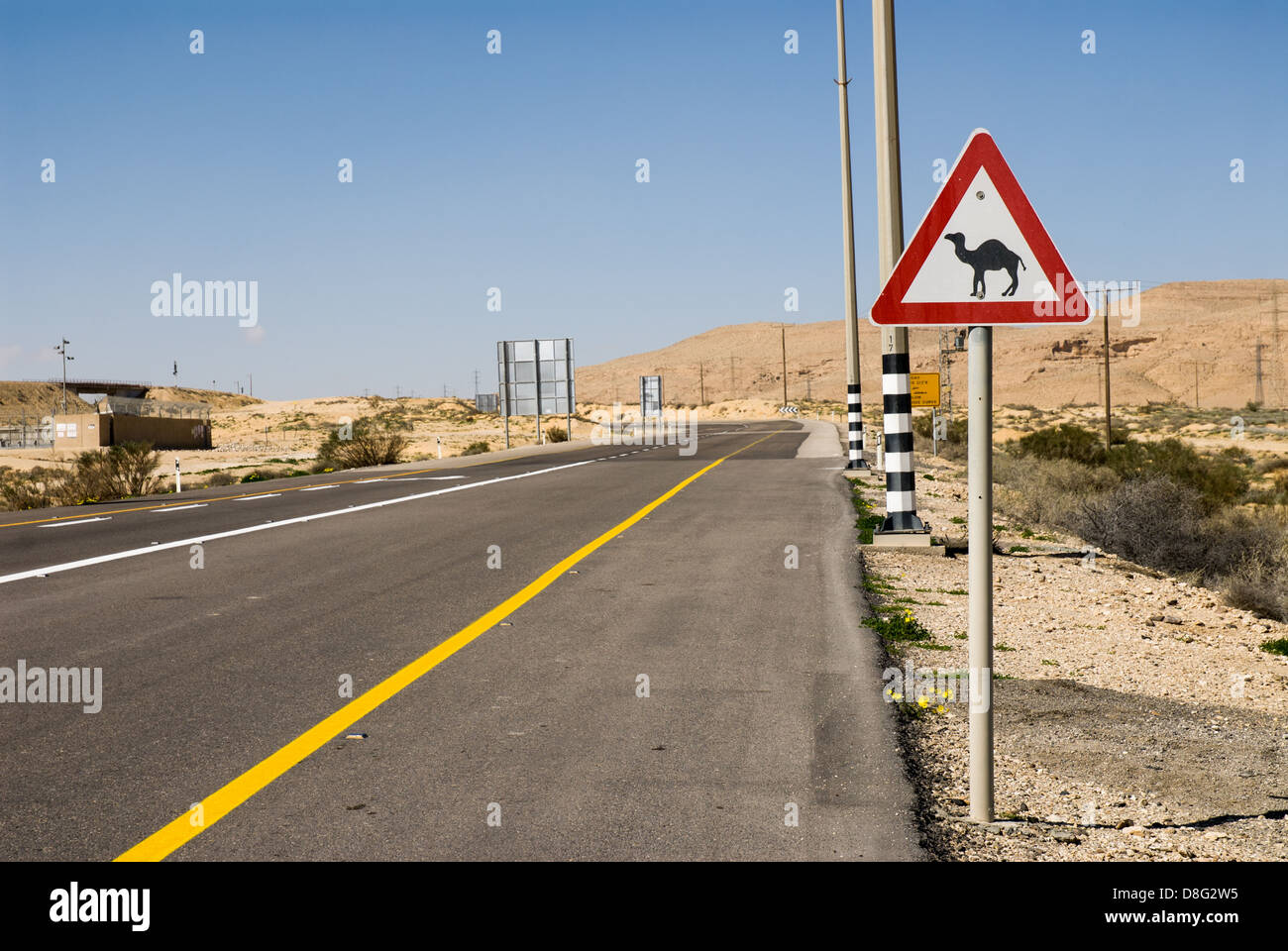Road sign about loose camels on a way through the Negev desert,Israel ...