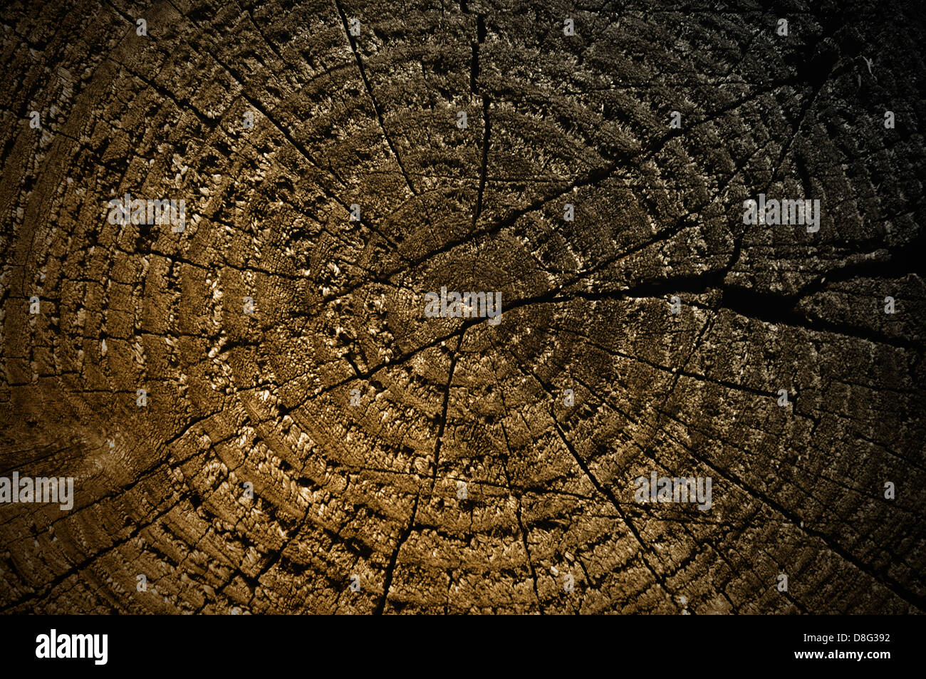 Weathered wooden cut Stock Photo - Alamy