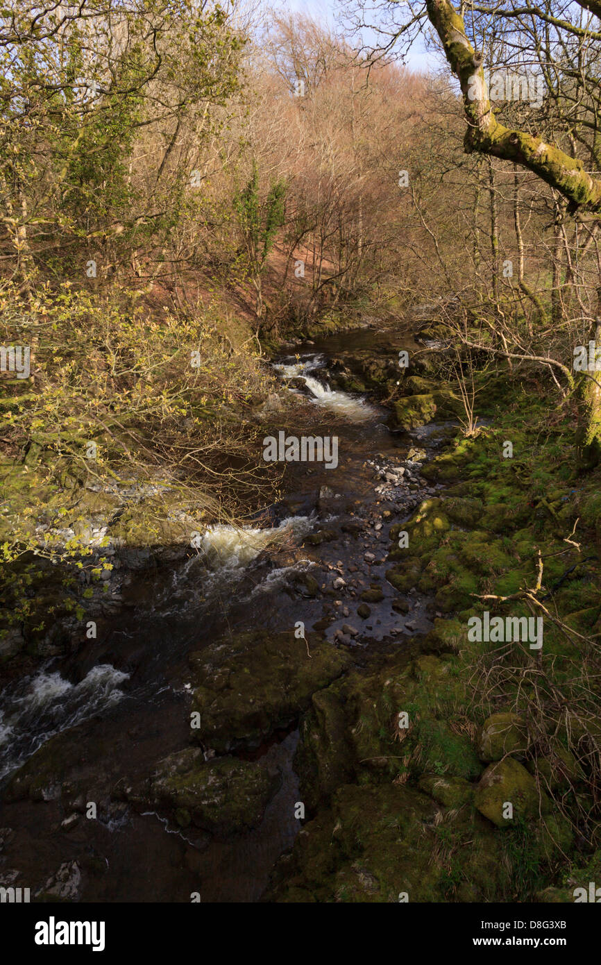 Afon twrch llanuwchllyn hi-res stock photography and images - Alamy