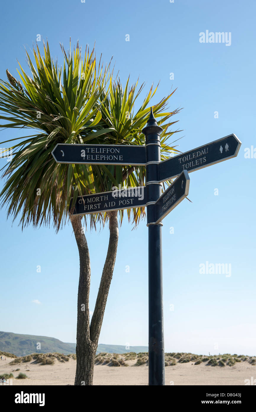 English and Welsh bilingual signpost and palm tree on Barmouth beach ...