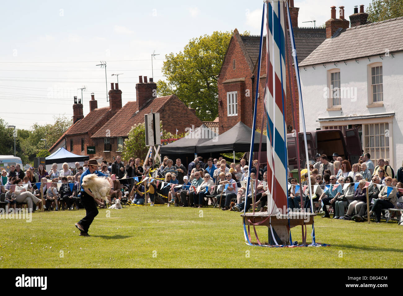 K9 Dog display team at Wellow during the mayday festival Stock Photo ...