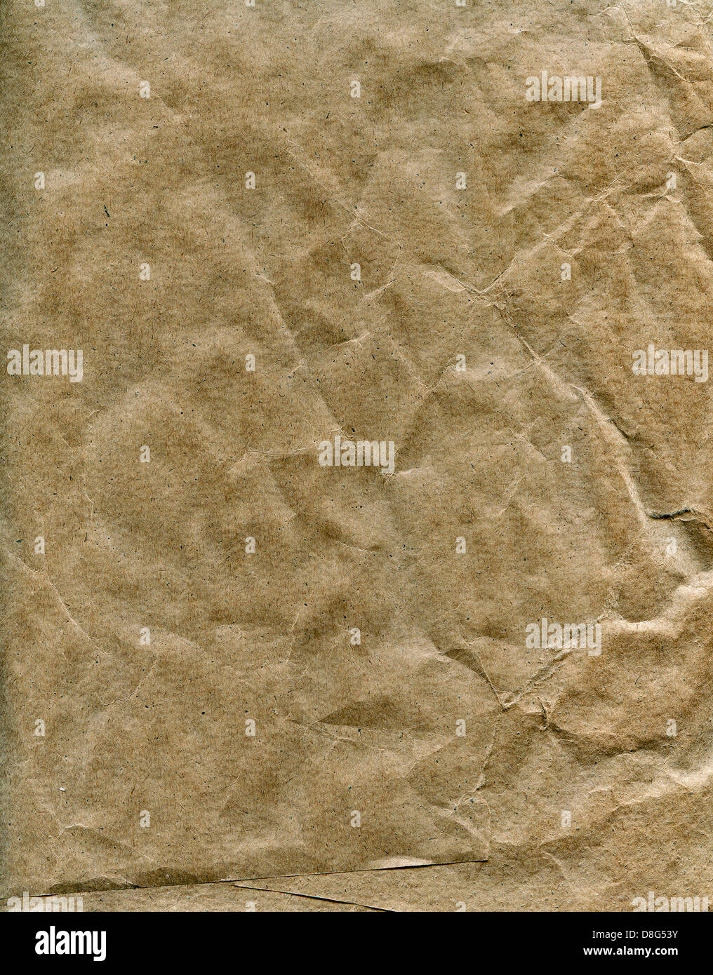 Packing paper design hi-res stock photography and images - Alamy