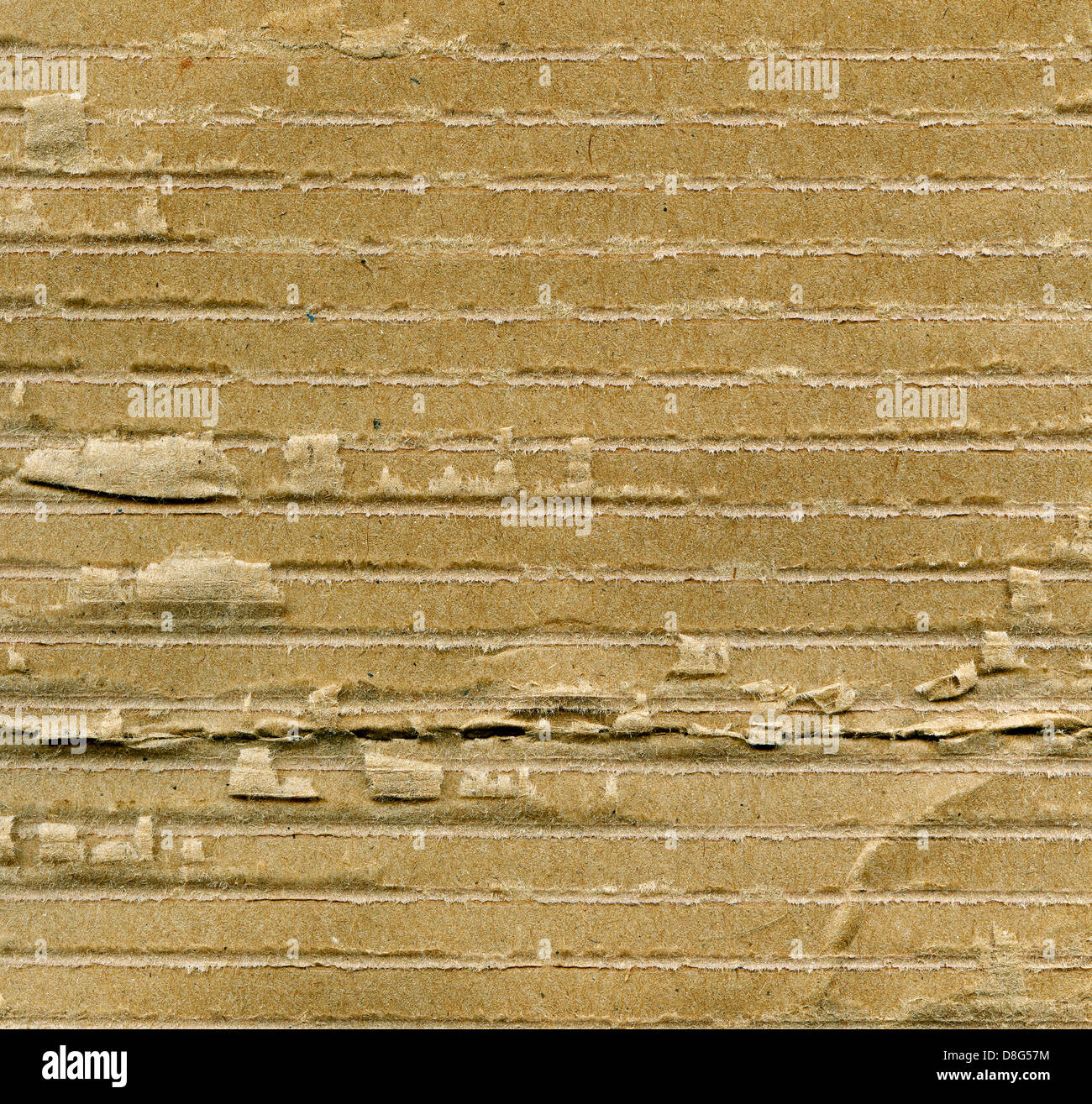 Ribbed effect hi-res stock photography and images - Alamy