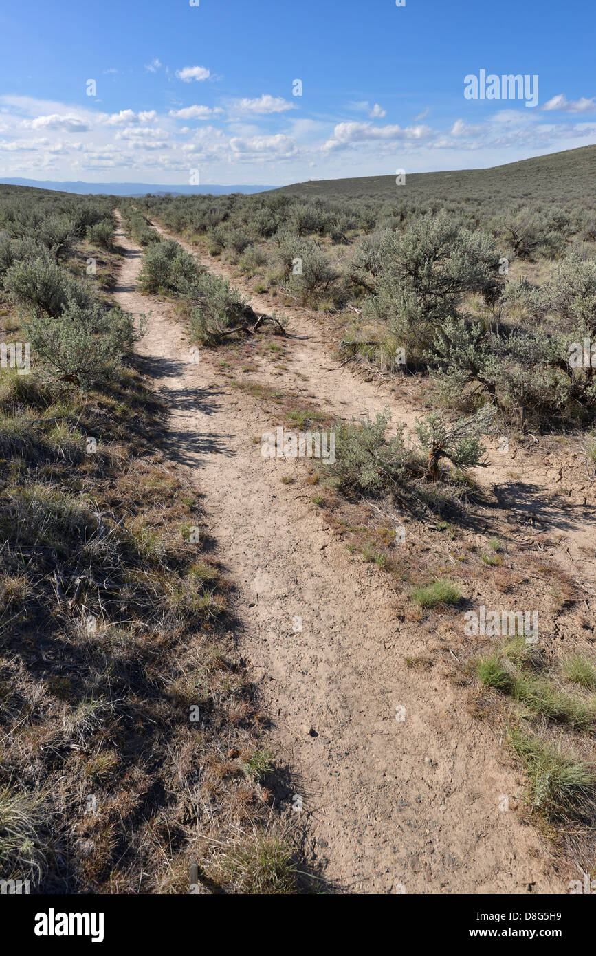 Tracks from the historic Oregon Trail, Northeastern Oregon Stock Photo ...