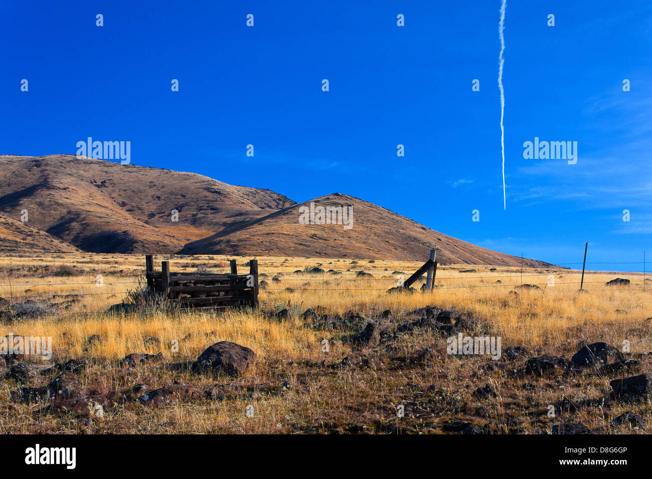 Dry field with scattered rocks and wooden outbuilding against ...