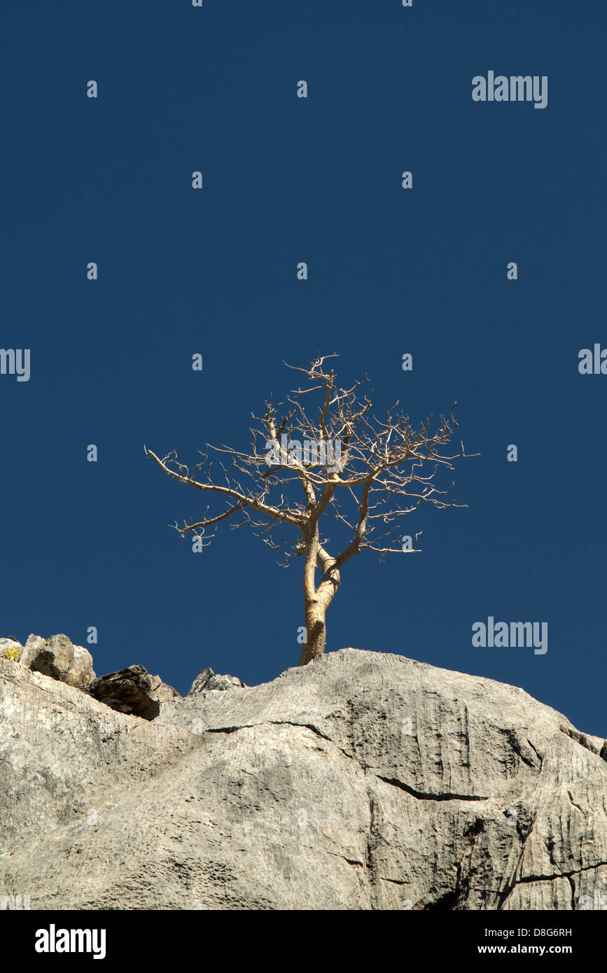 outback scenery near Chillagoe, Queensland, Australia Stock Photo - Alamy