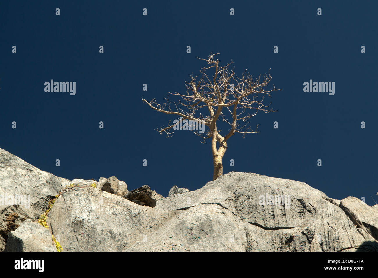 outback scenery near Chillagoe, Queensland, Australia Stock Photo - Alamy