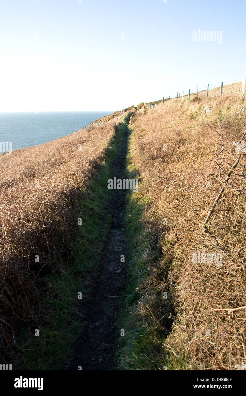 Welsh Coastal Path, Newport Beach, Pembrokeshire Stock Photo - Alamy