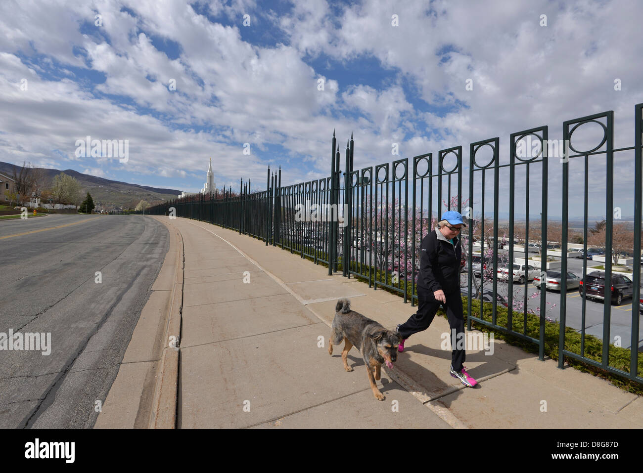 Woman walking her dog next to the Mormon temple in Bountiful, Utah ...