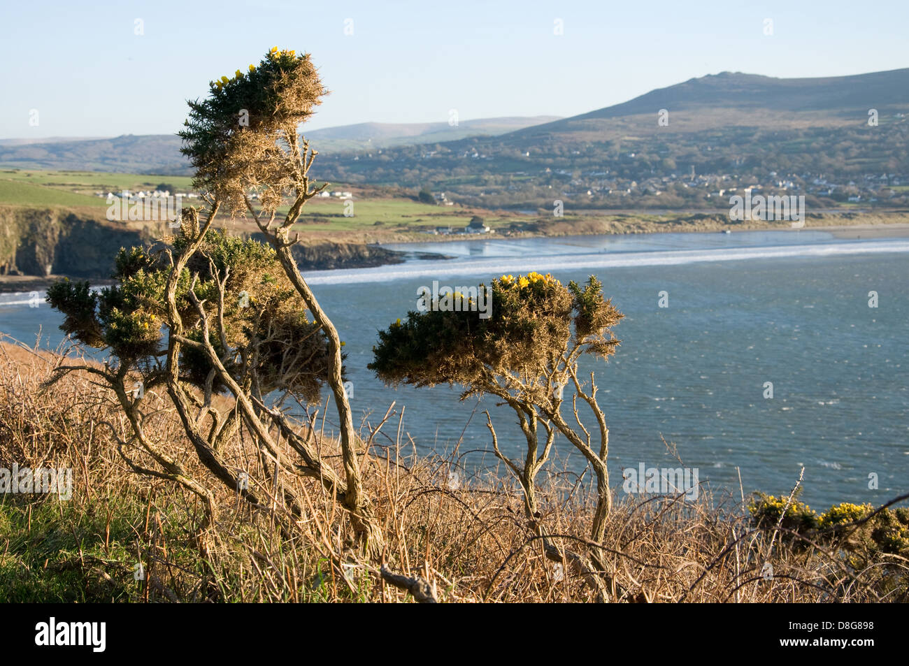 Welsh Coastal Path, Newport Beach, Pembrokeshire Stock Photo - Alamy