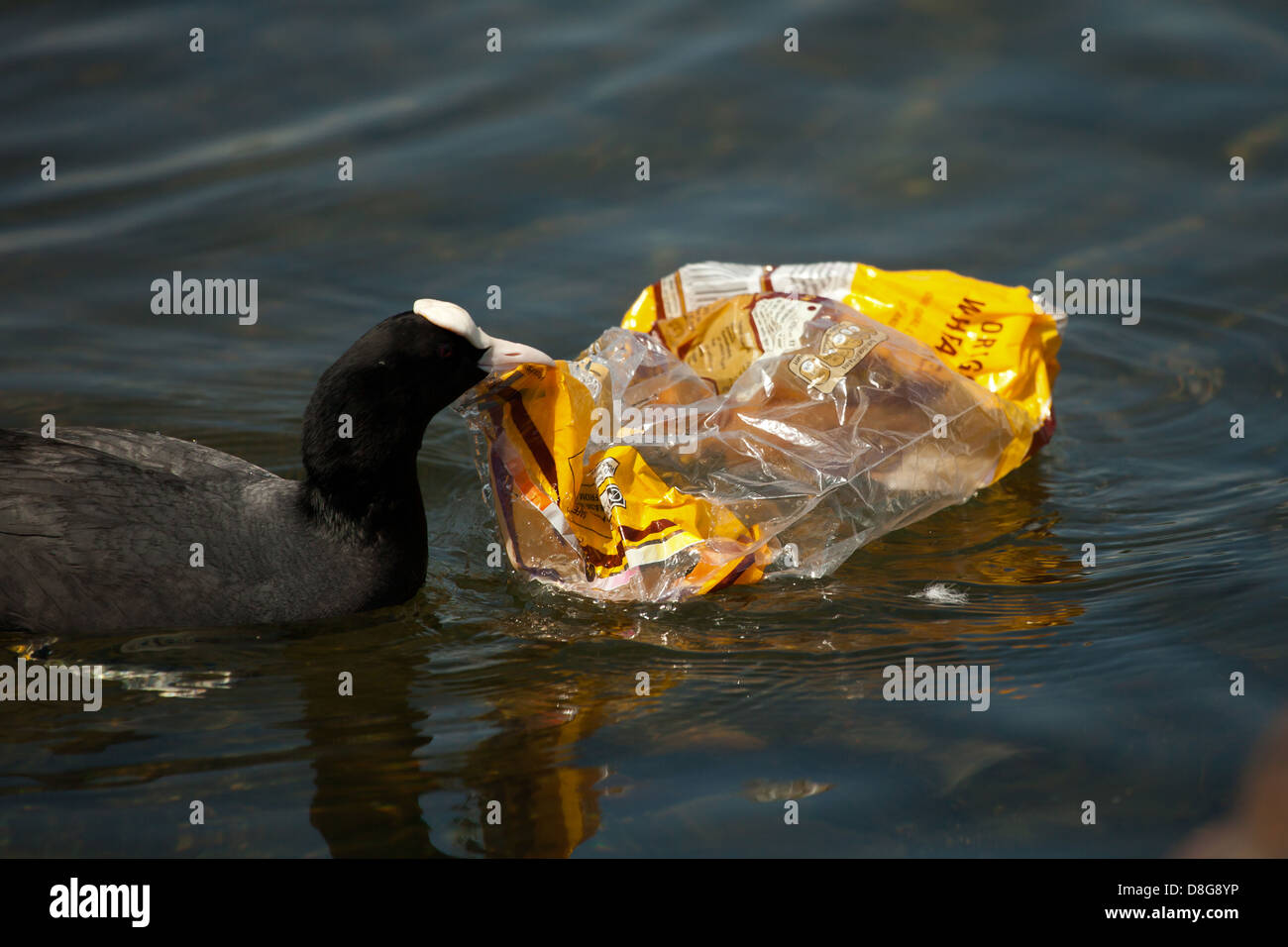 The dangers of Plastic Stock Photo - Alamy