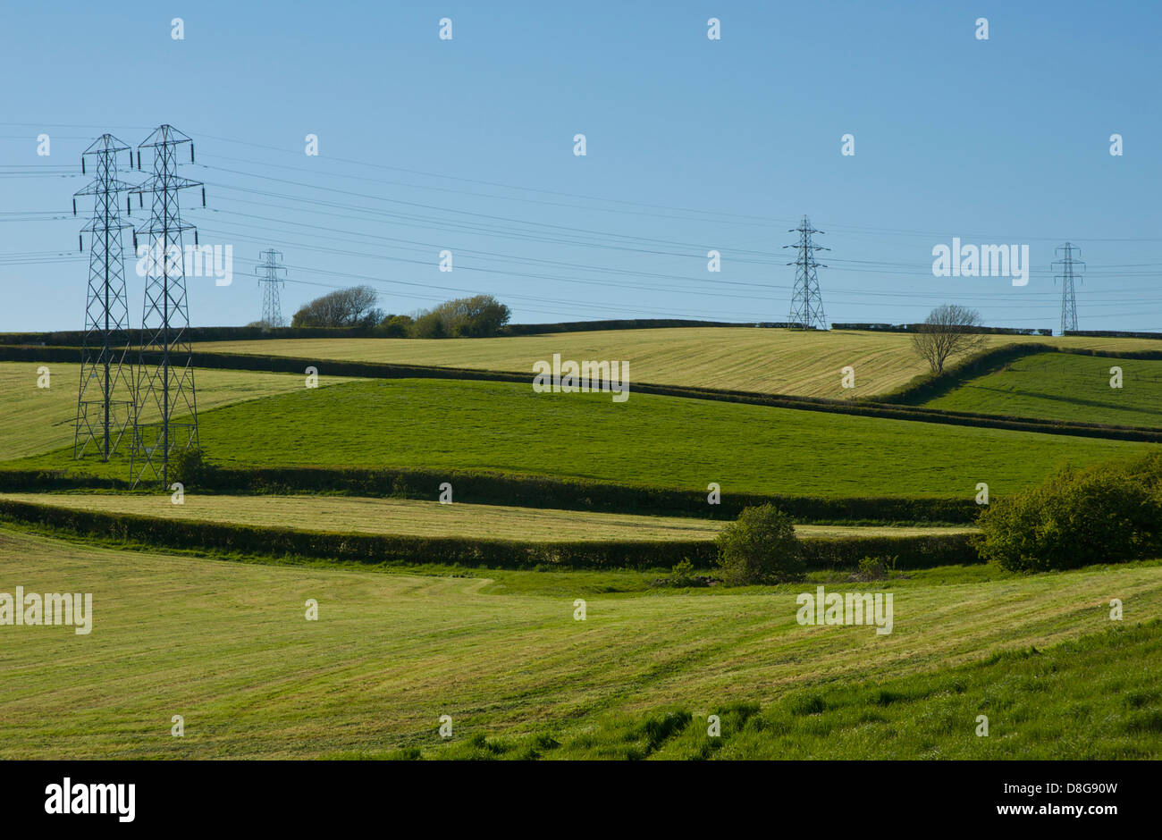 Hedgerow And Pylons High Resolution Stock Photography and Images - Alamy