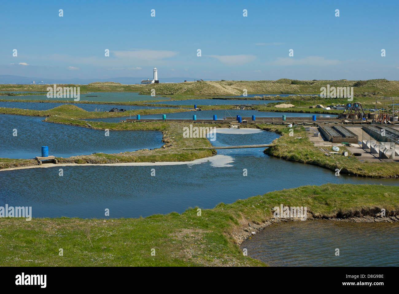Walney Oyster Farm and lighthouse, South Walney, near Barrow-in-Furness ...
