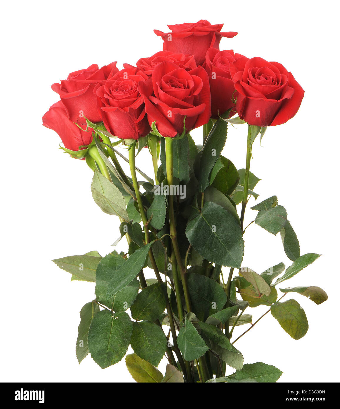 Bouquet of red roses Stock Photo - Alamy