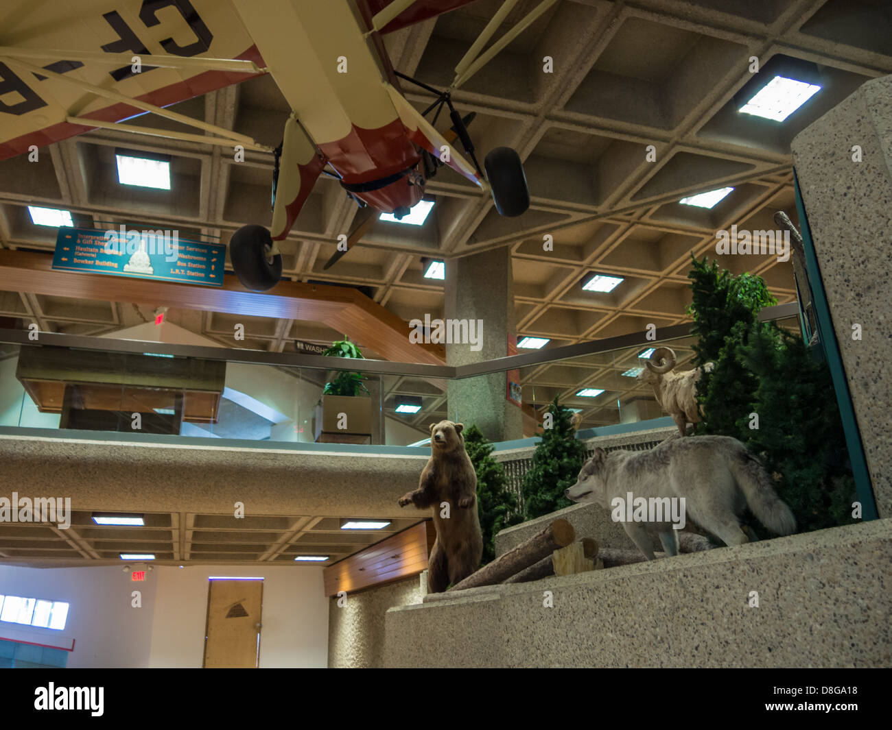 model plane and animals in Alberta legislature in Edmonton Stock Photo ...