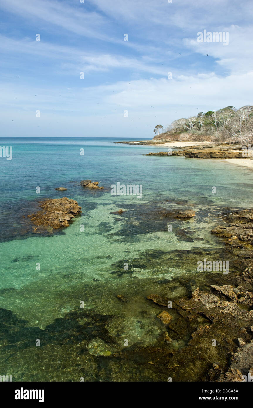 Beach with forest hi-res stock photography and images - Alamy