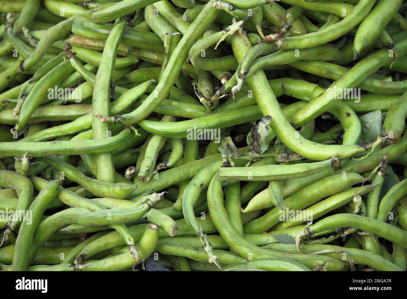 Fava fiber hi-res stock photography and images - Alamy