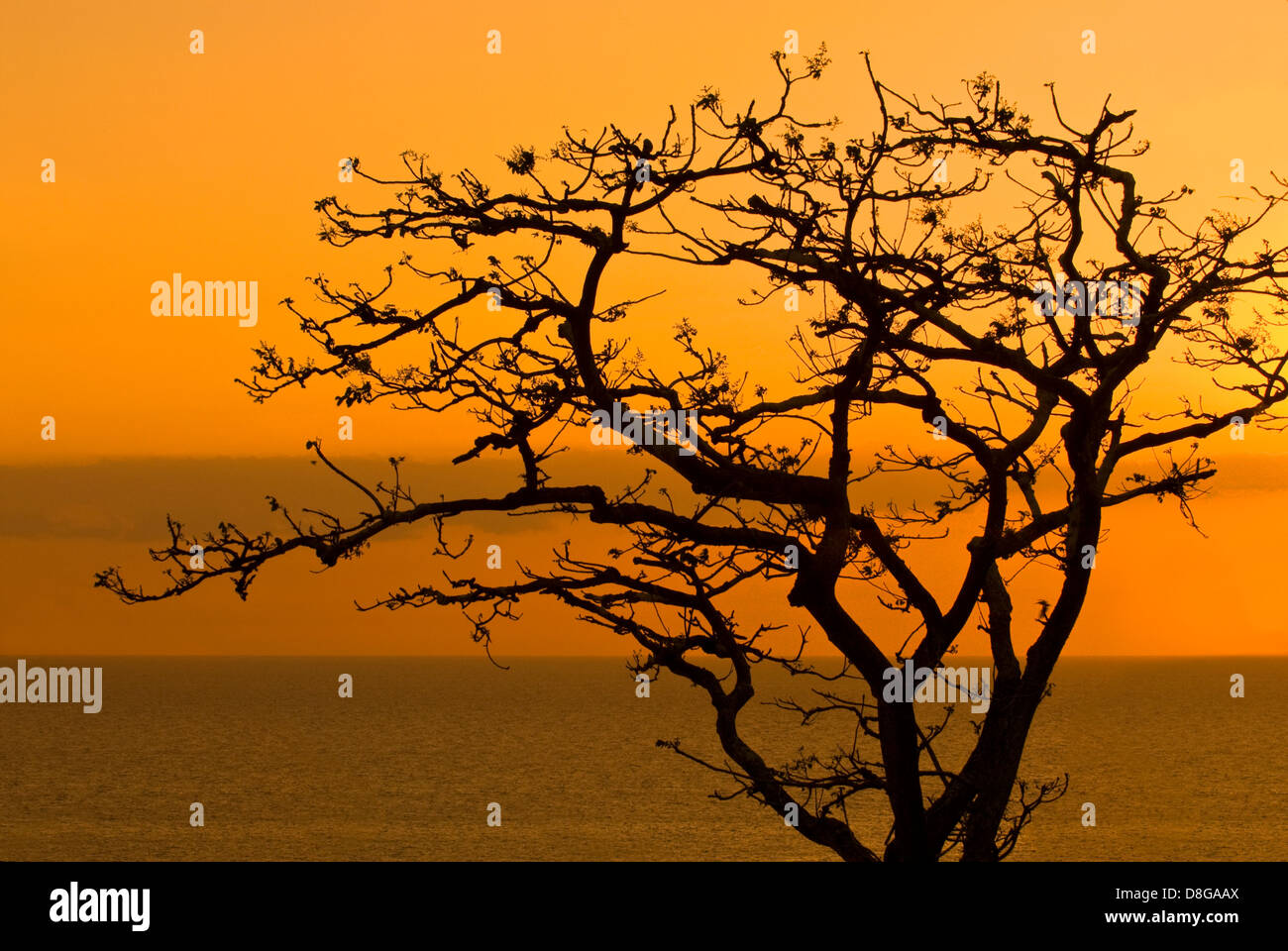 Horizon silhouette hi-res stock photography and images - Alamy