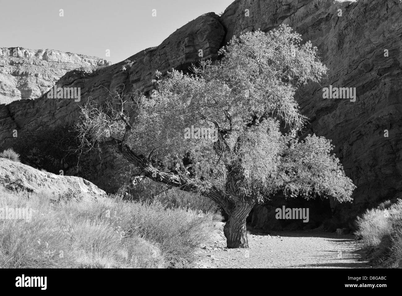 San rafael reef area hi-res stock photography and images - Alamy