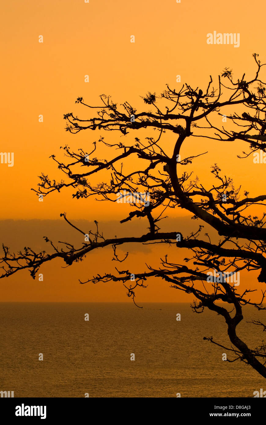 Horizon silhouette hi-res stock photography and images - Alamy