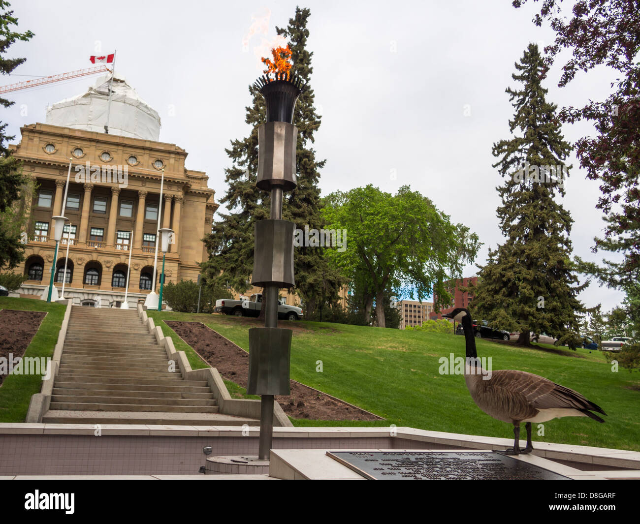 Canadian goose in front of torch at Alberta legislature building Stock ...