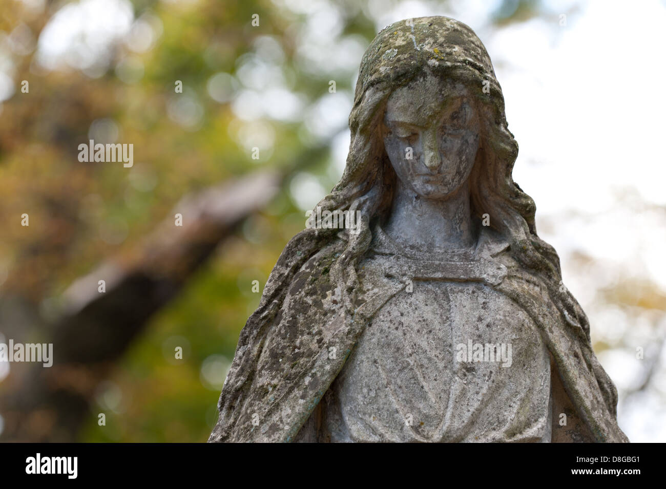 Monument Lady of Guadalupe on a cemetery Stock Photo - Alamy