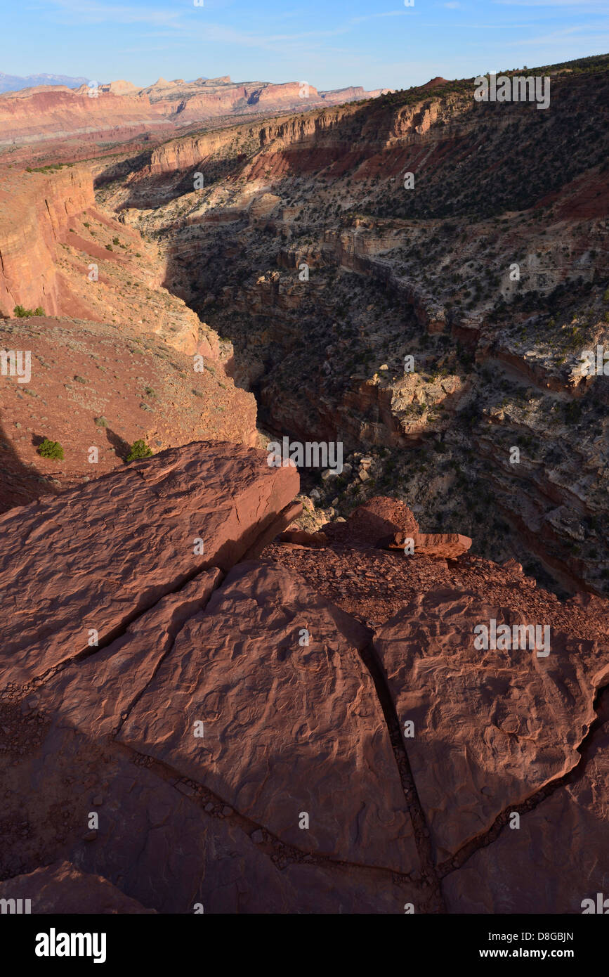 Capital of desert hi-res stock photography and images - Alamy