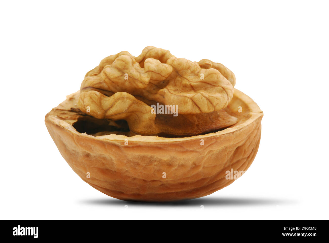 open walnut with shadow Stock Photo - Alamy